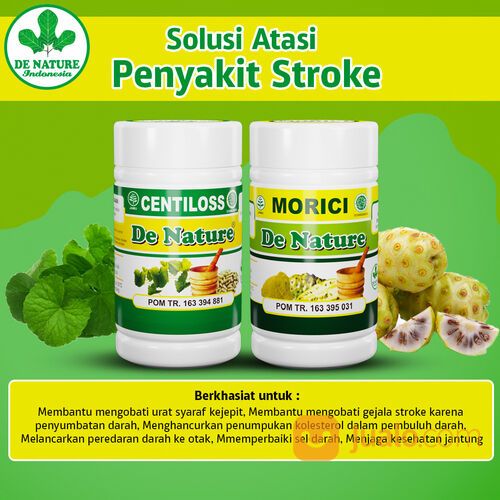 Obat Stroke Centiloss Morici - Struk - Lumpuh Sebelah Vertigo De Nature ...