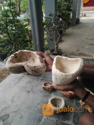 Pot Batu Alam untuk kaktus dan succulent di Kota Semarang, Jawa Tengah ...